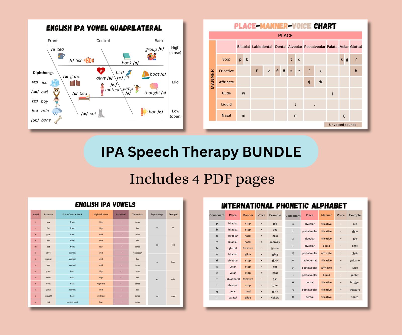 IPA Speech Therapy Bundle - Therapy Sheets