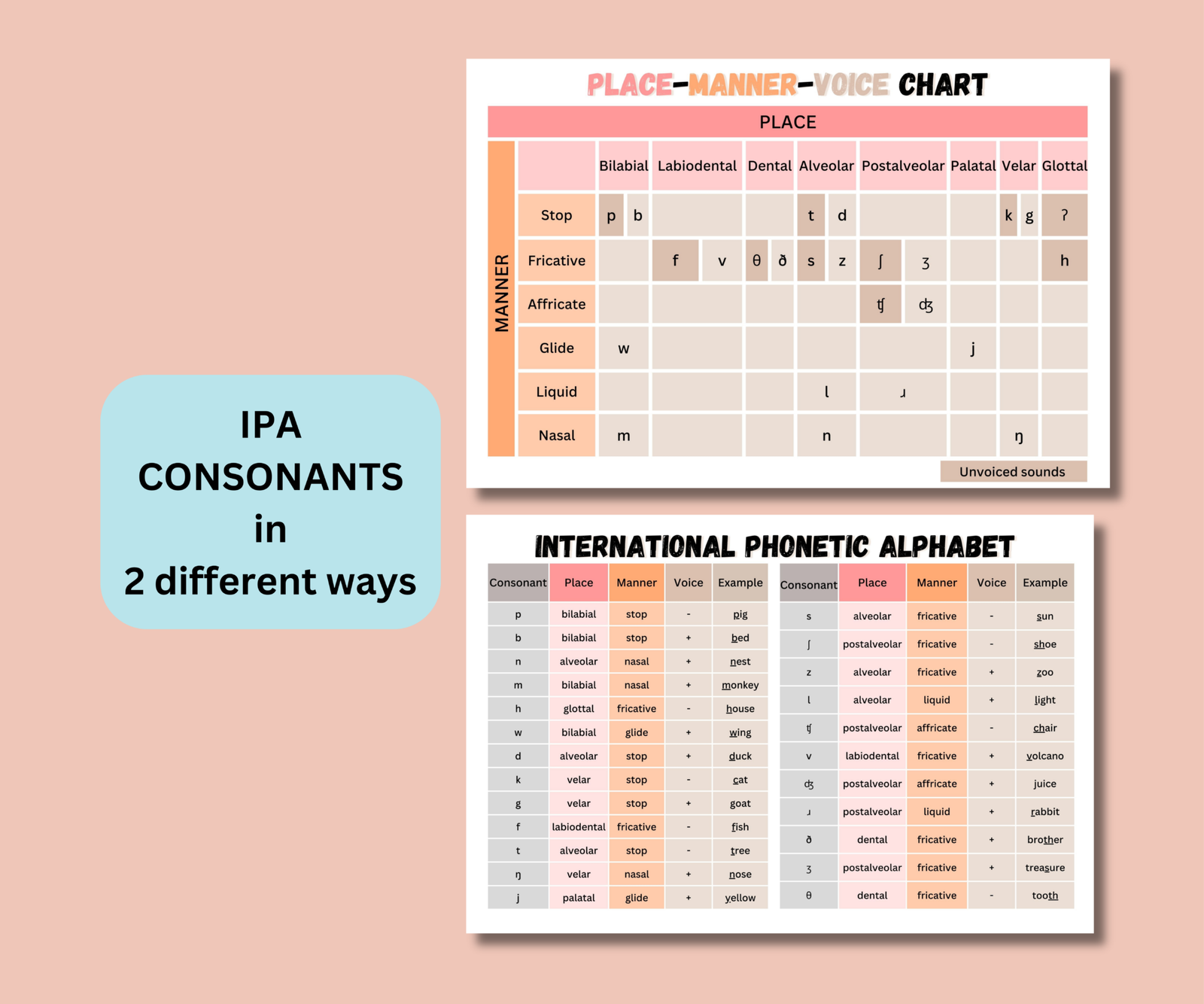 IPA Speech Therapy Bundle - Therapy Sheets